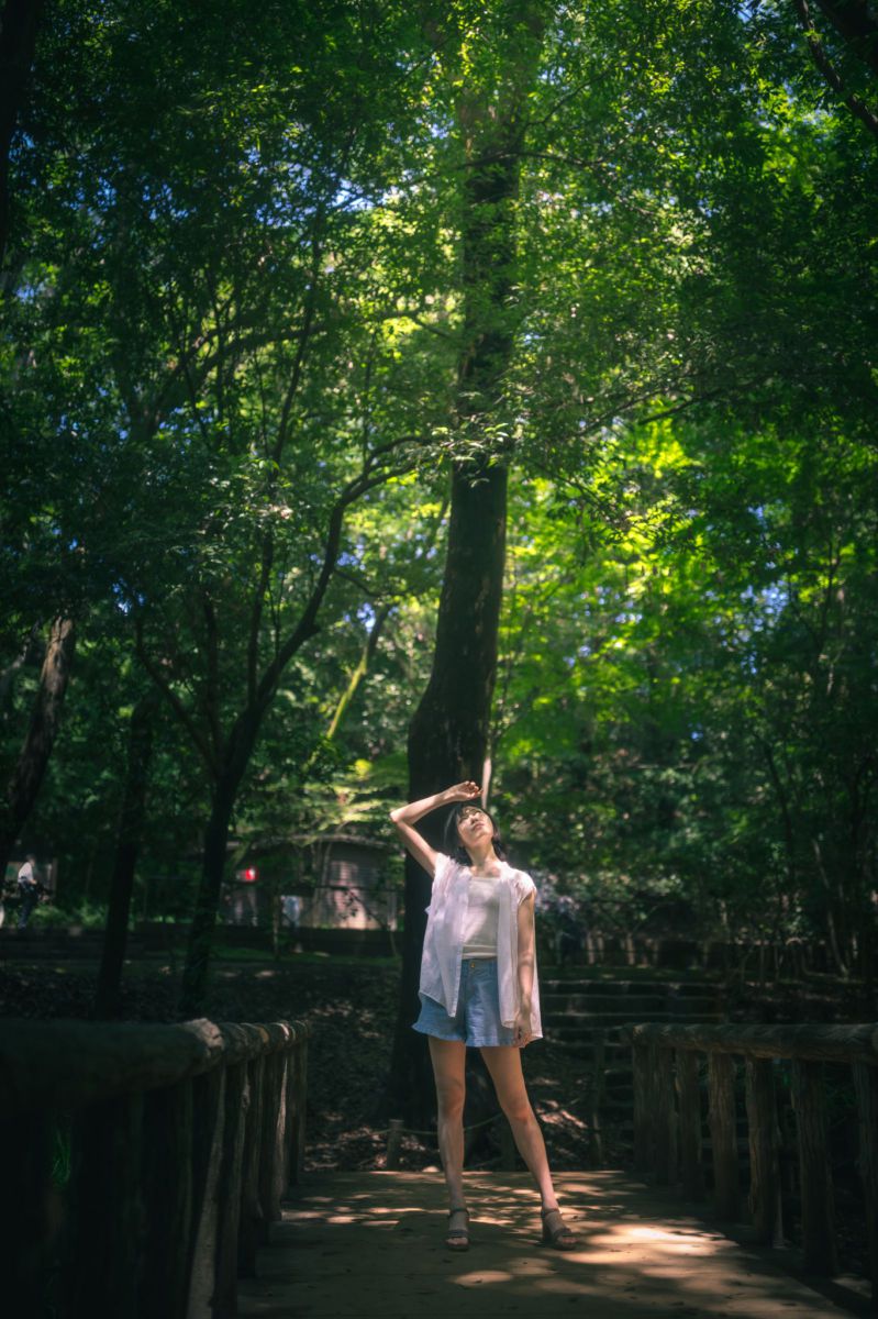 木漏れ日に照らされて | GANREF