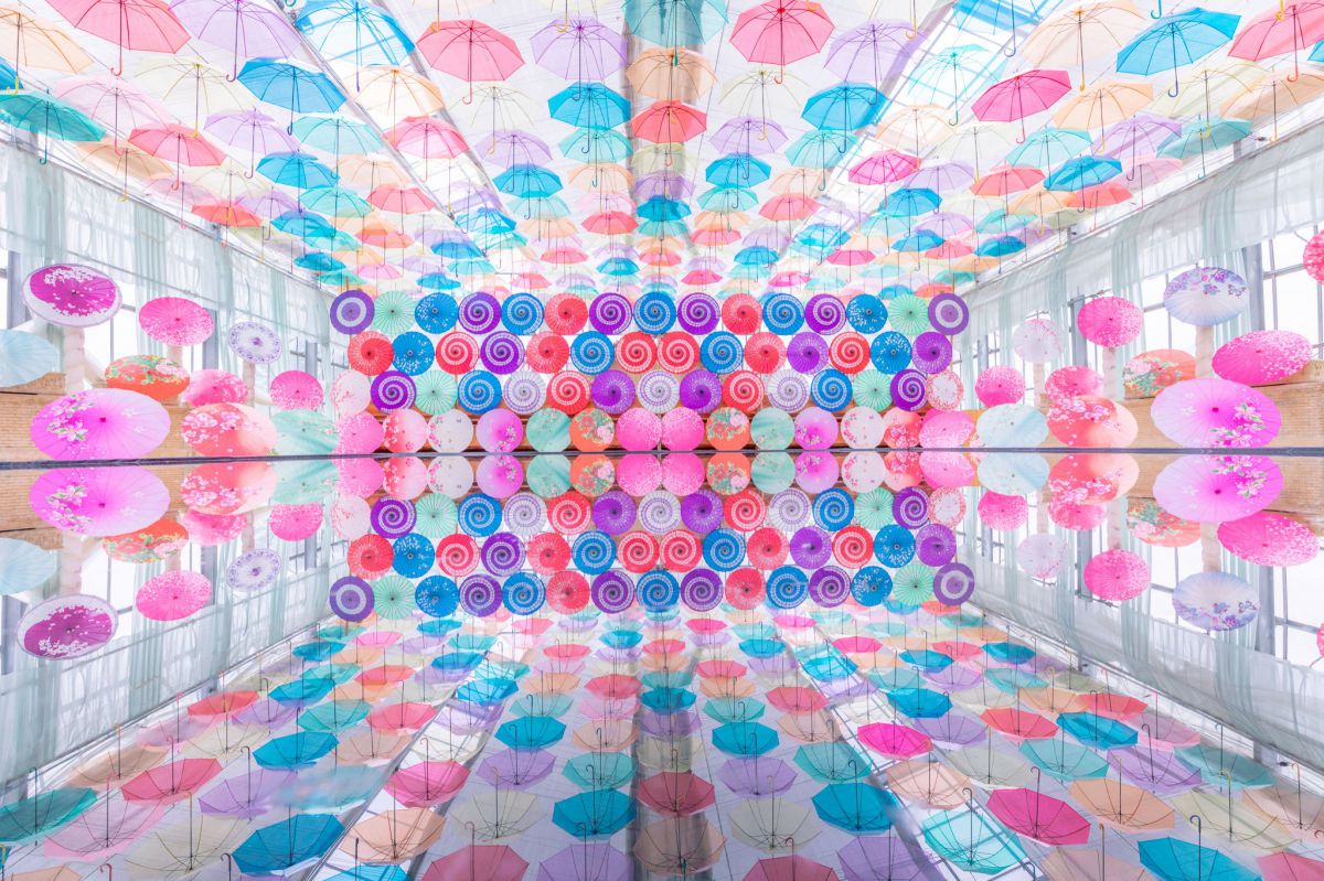 Umbrella Dream | GANREF