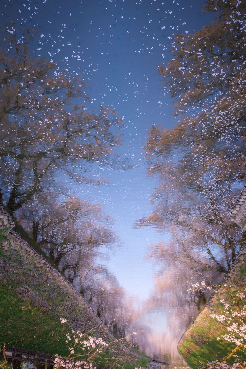 もう一つの春 | GANREF