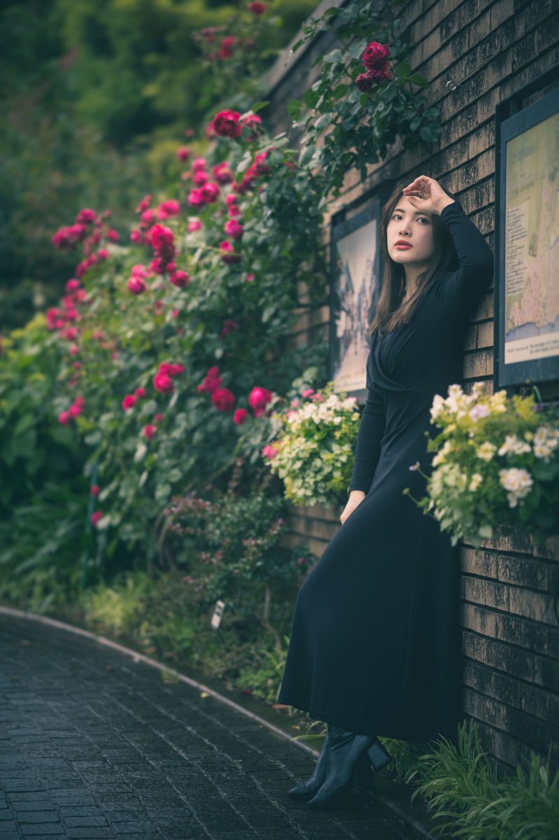 バラの似合う女 | GANREF