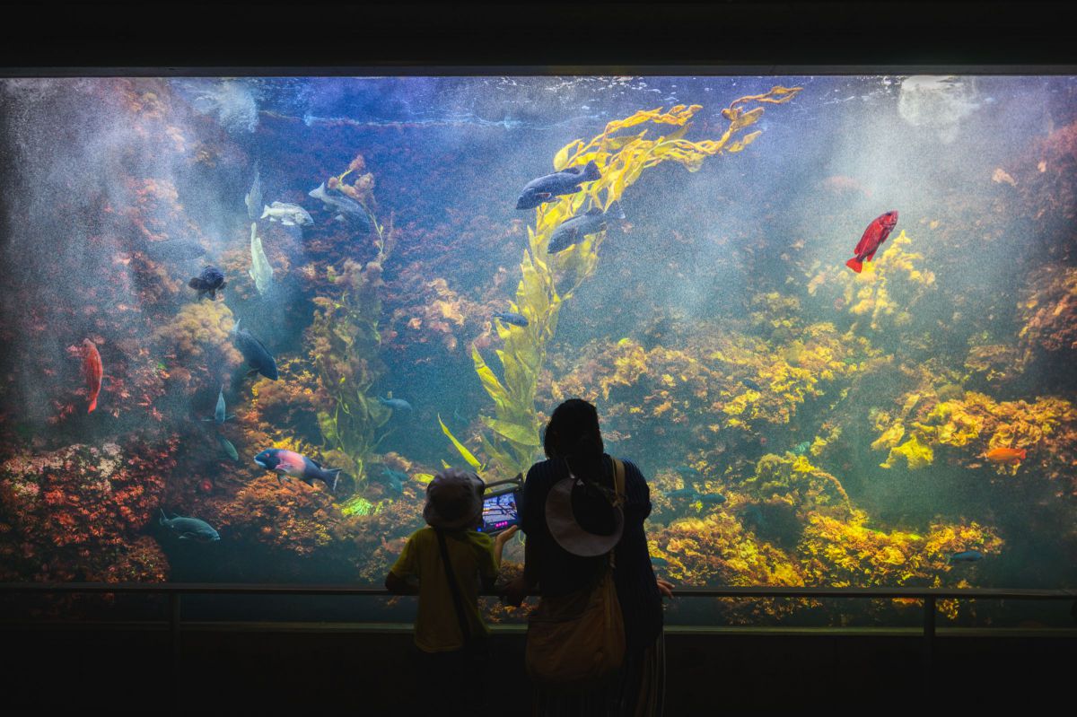 親子水入らず | GANREF