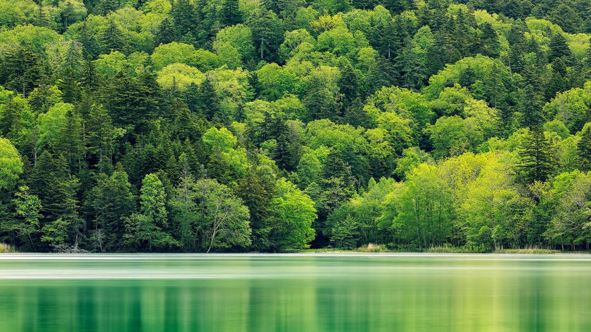 オンネトー 上空の360° | GANREF