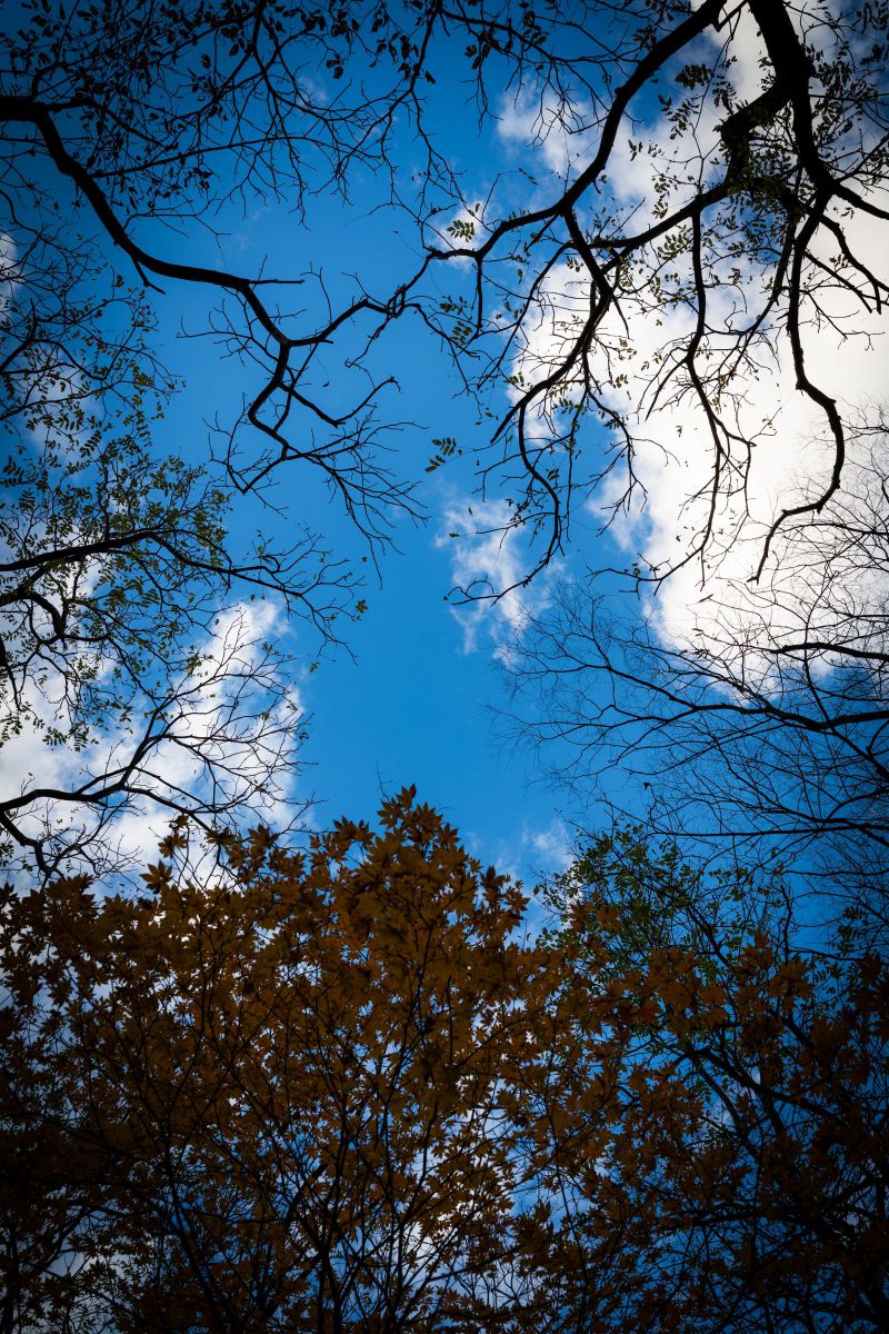 Crack the sky. | GANREF