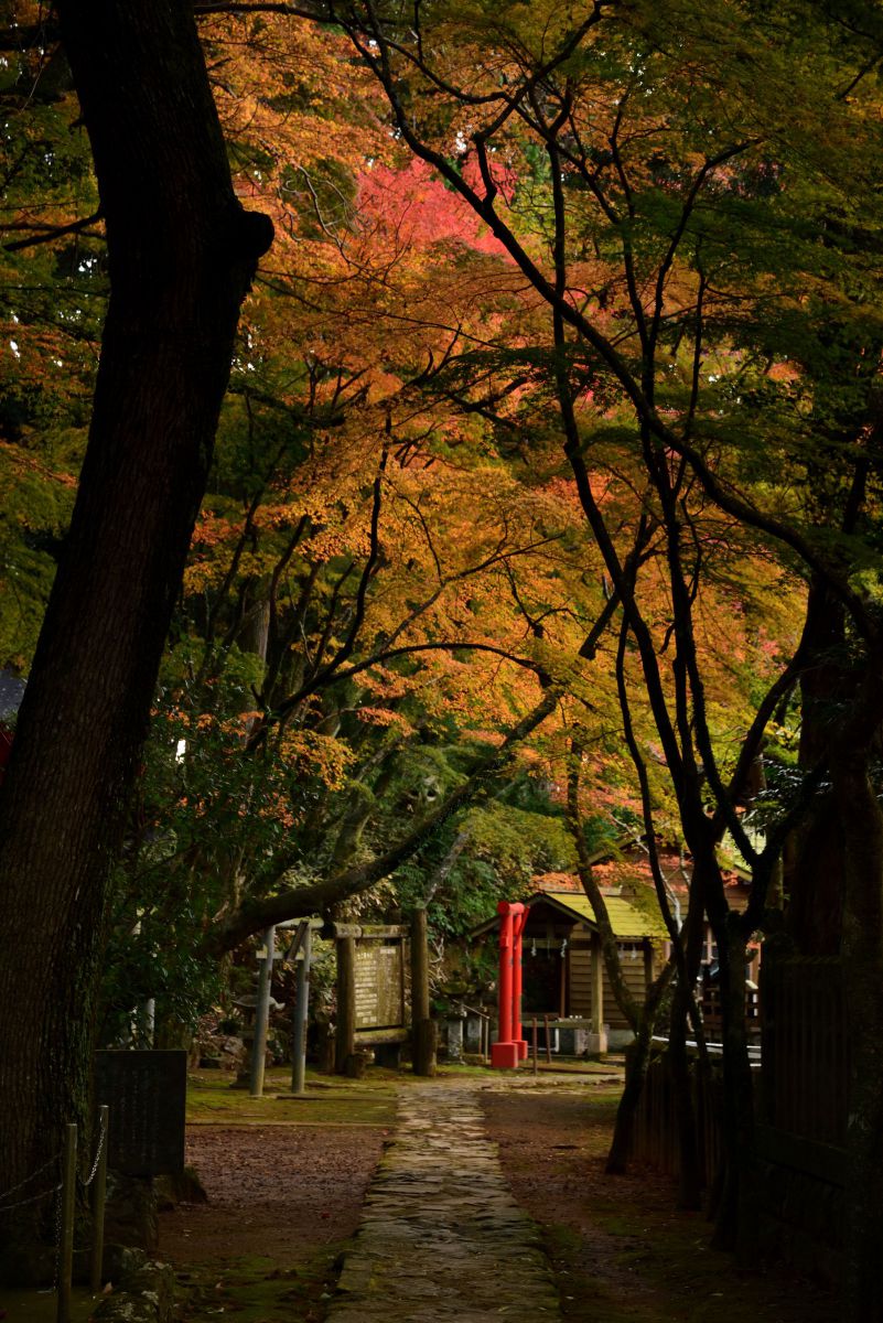 境内の紅葉.JPG | GANREF