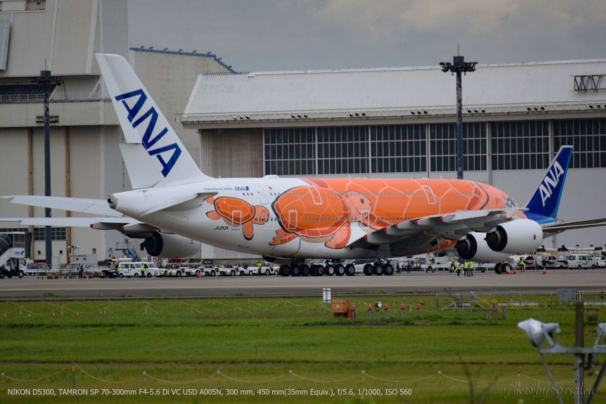 ANA A380 3号機 その3 | GANREF