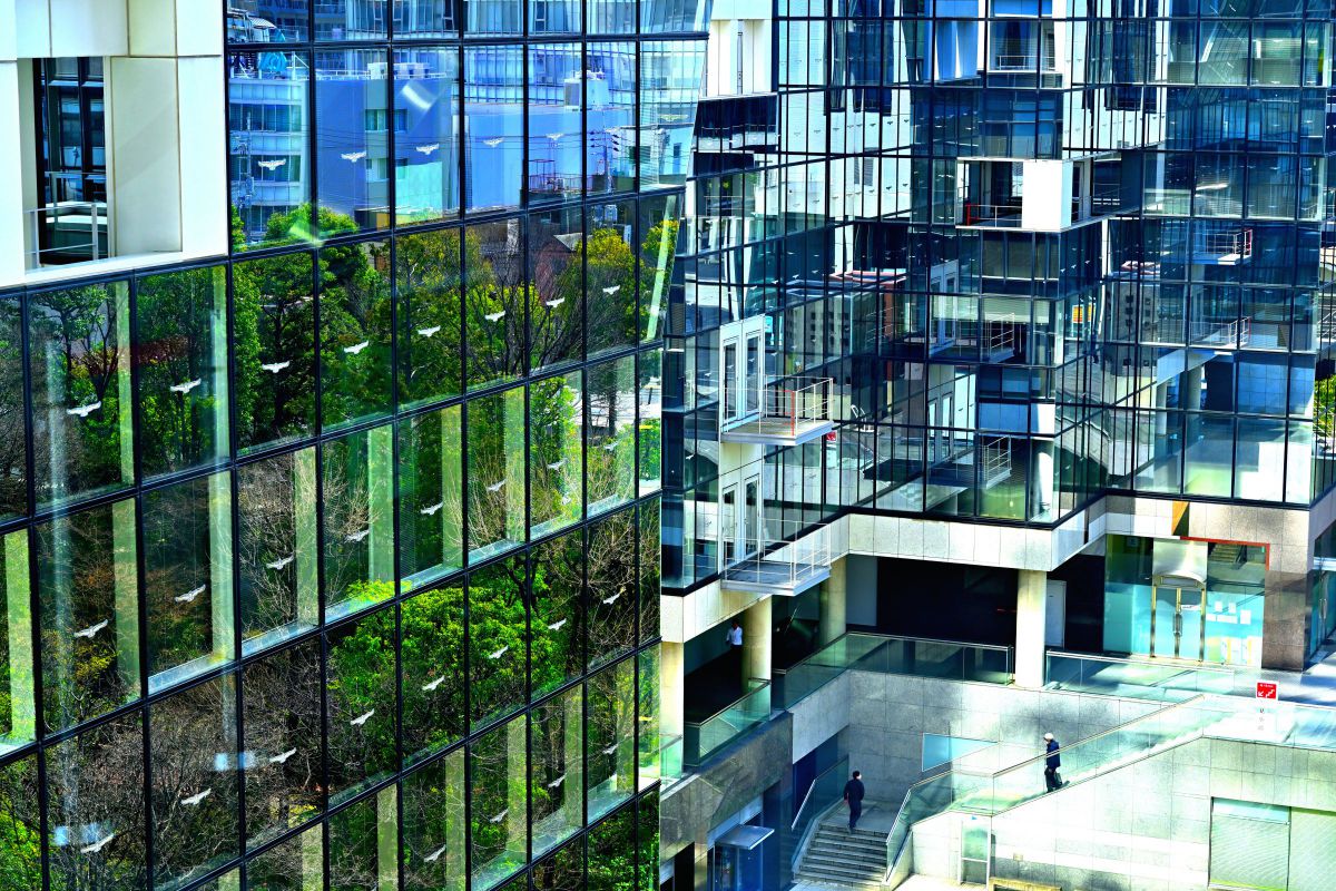 MIRROR EFFECT Ⅰ | GANREF