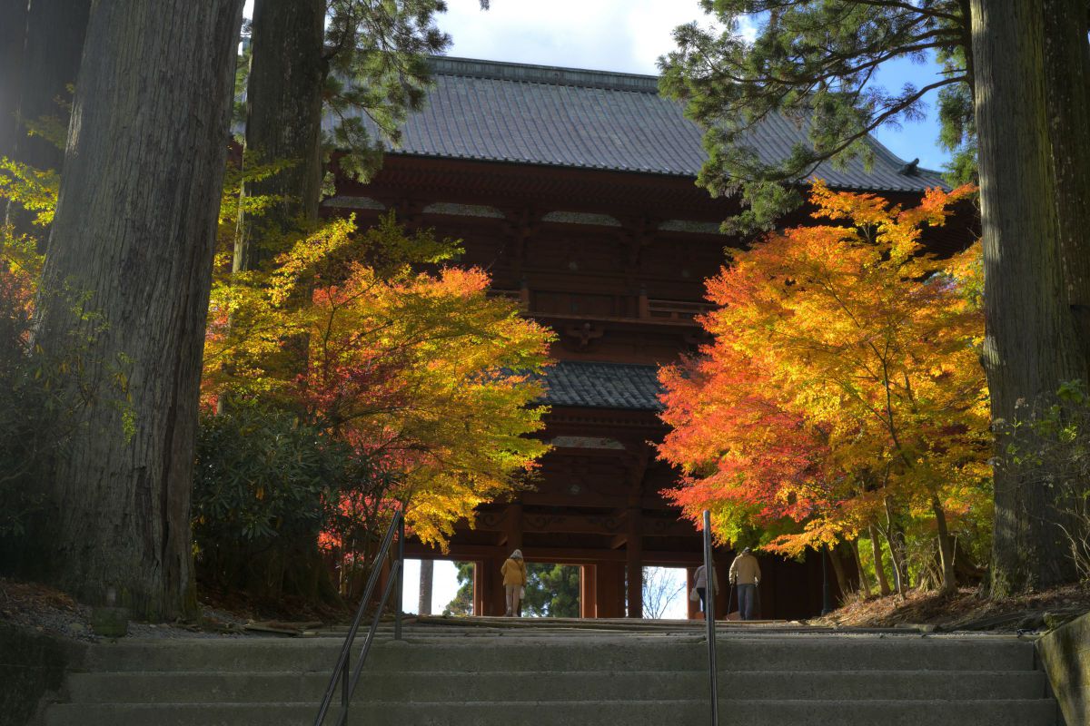 大門の秋 | GANREF