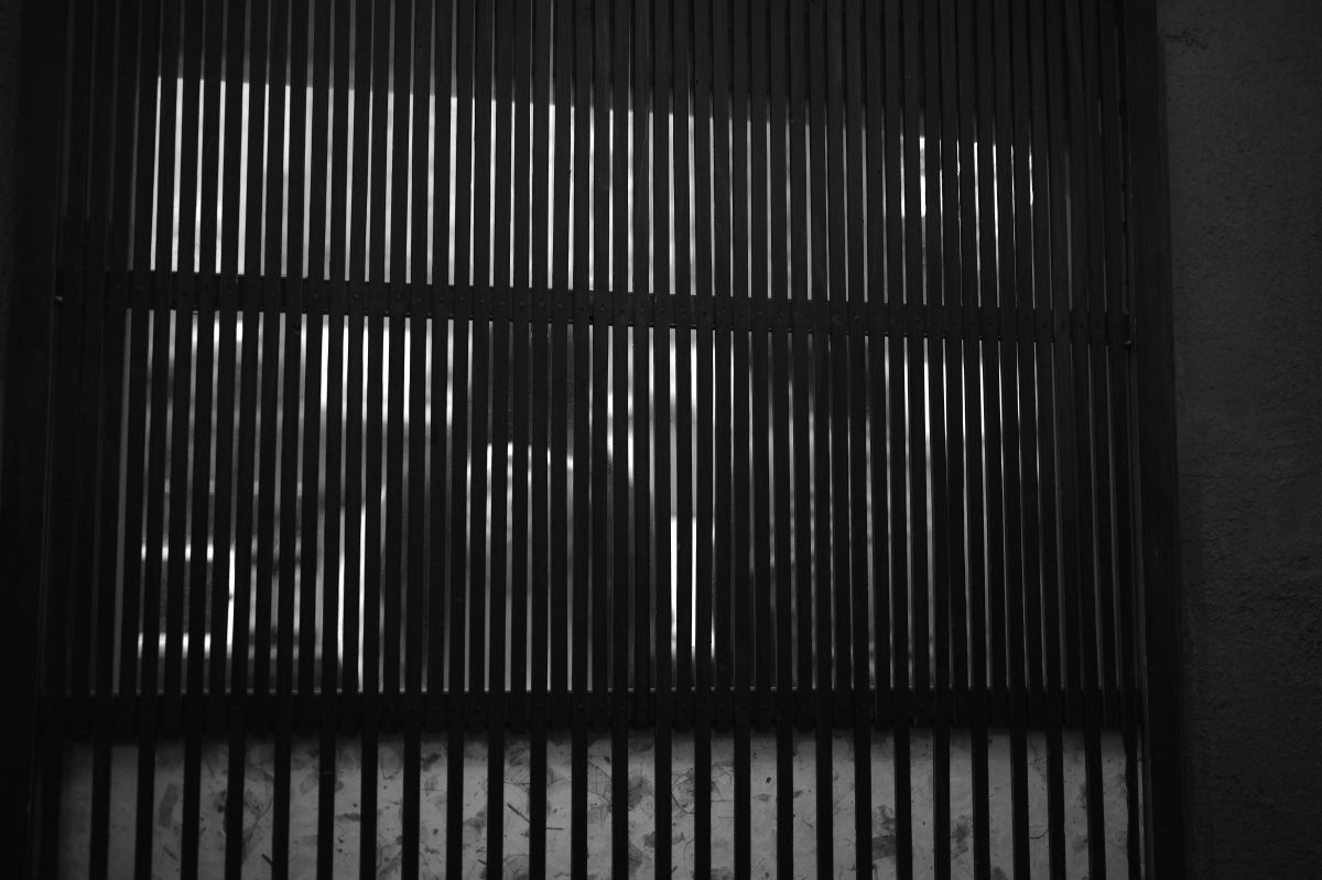 Through the Bars | GANREF