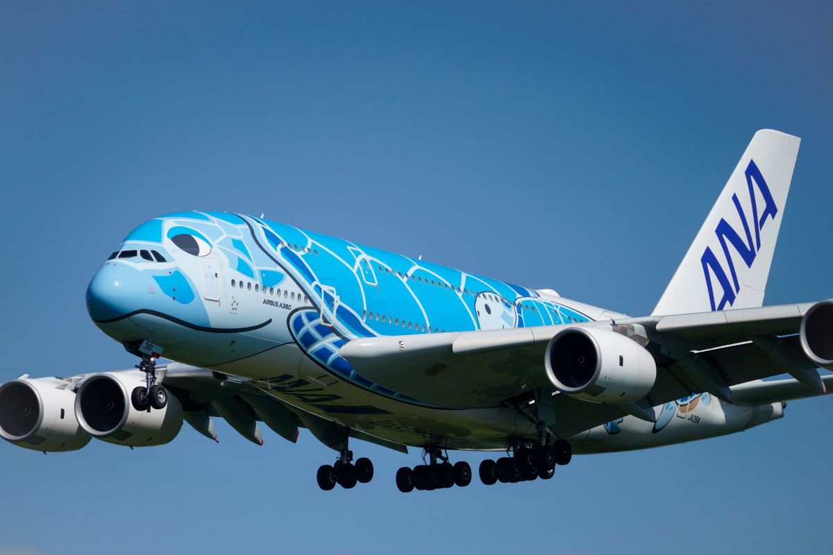 フライングホヌ A380 | GANREF