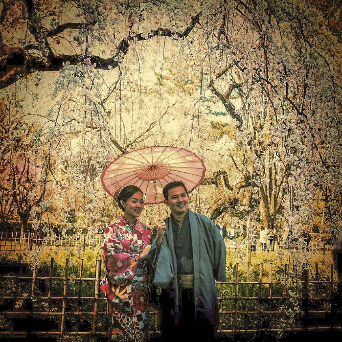 They are not Japanise | GANREF