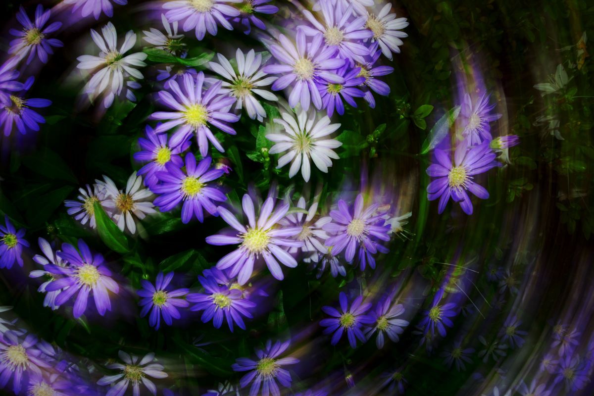 Spring breeze | GANREF