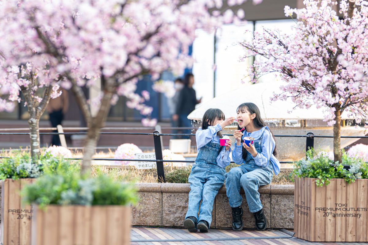 注目製品レビューニコンZ8&大三元レンズ【 風景・星景編】No.1大三元レンズを買うべき理由と買って得られる幸せ | GANREF