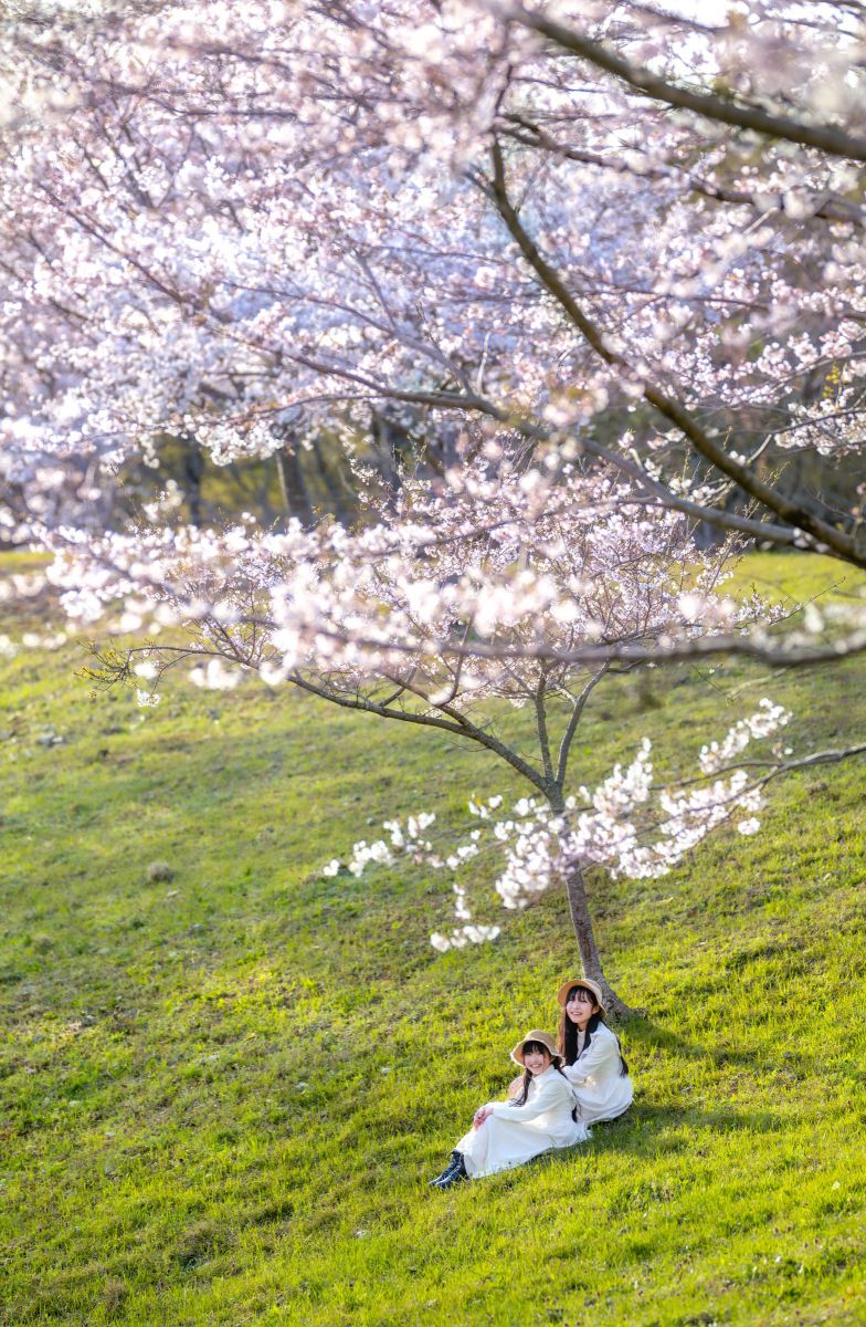 グループ写真展｢ぎふたび」2025 開催スタートです！ | GANREF