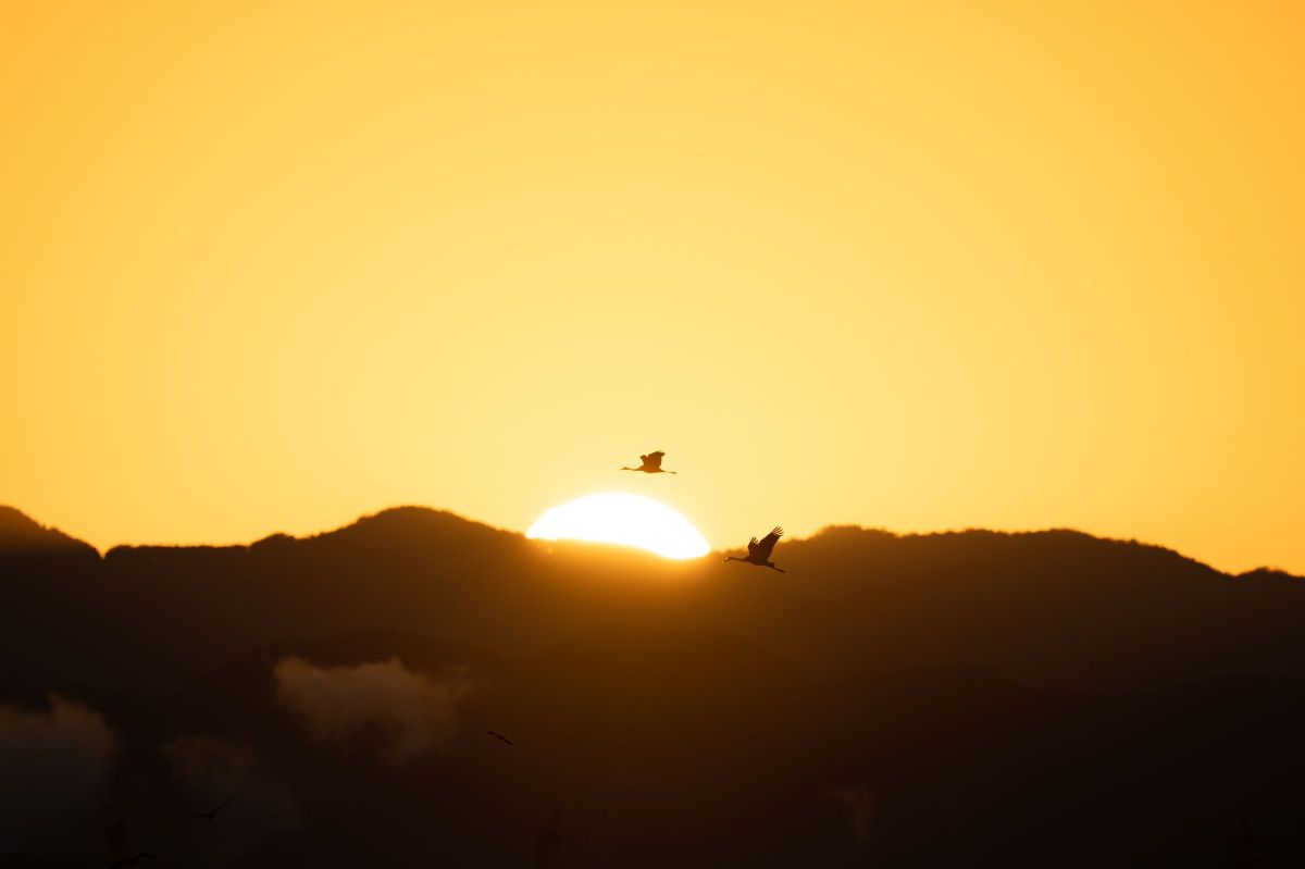 In the morning sun | GANREF