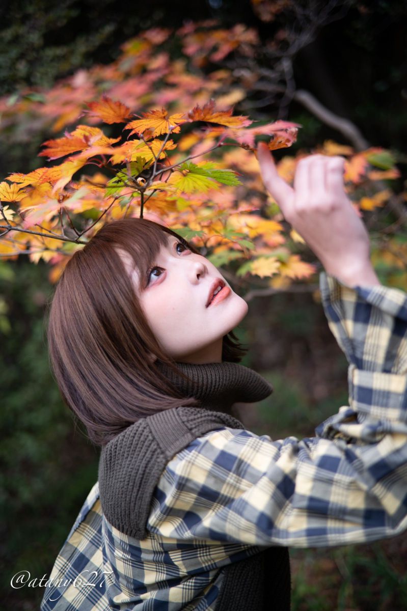 小さい秋みーつけた | GANREF