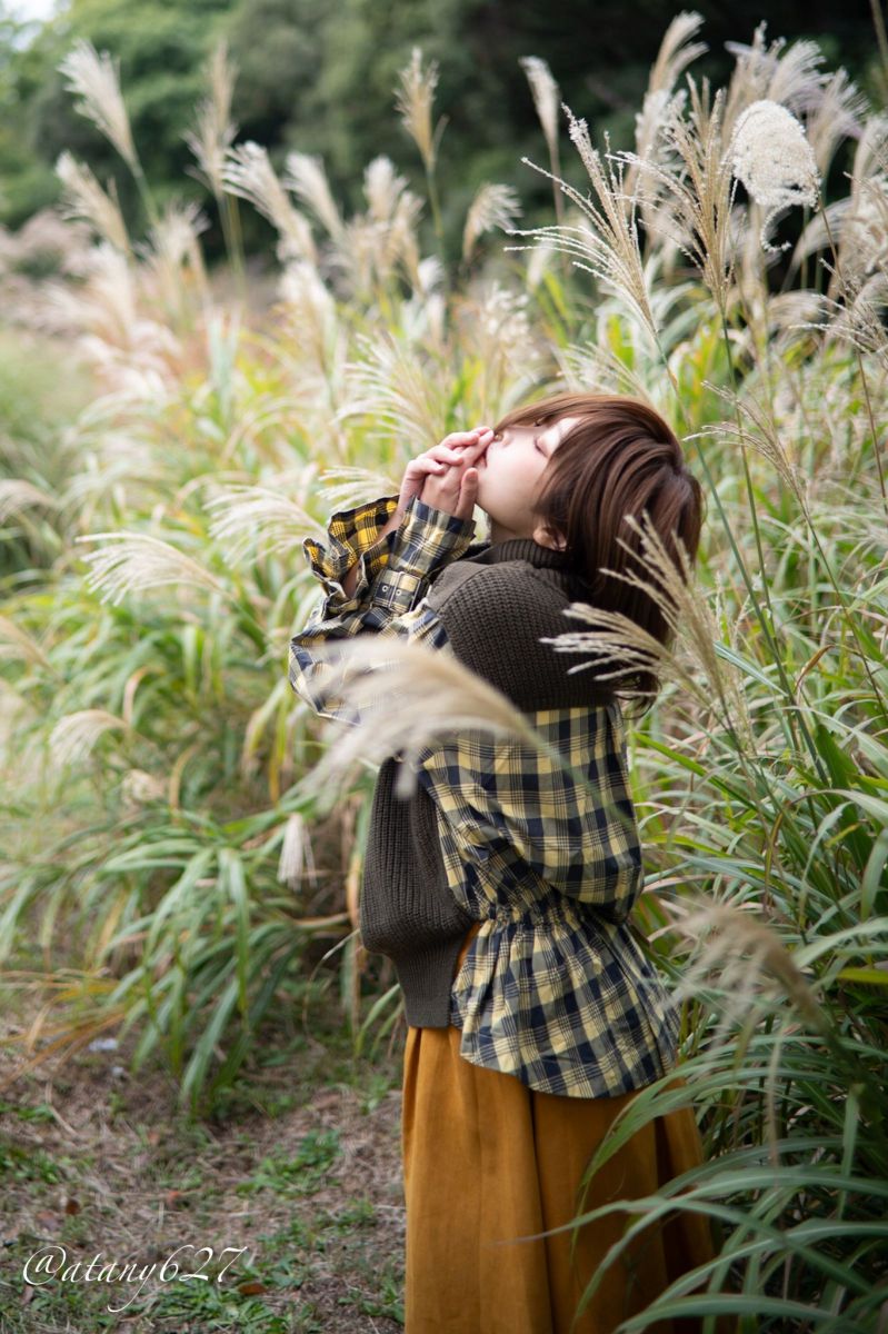 はだすすき 穂には咲き出ず 恋ひ渡る | GANREF