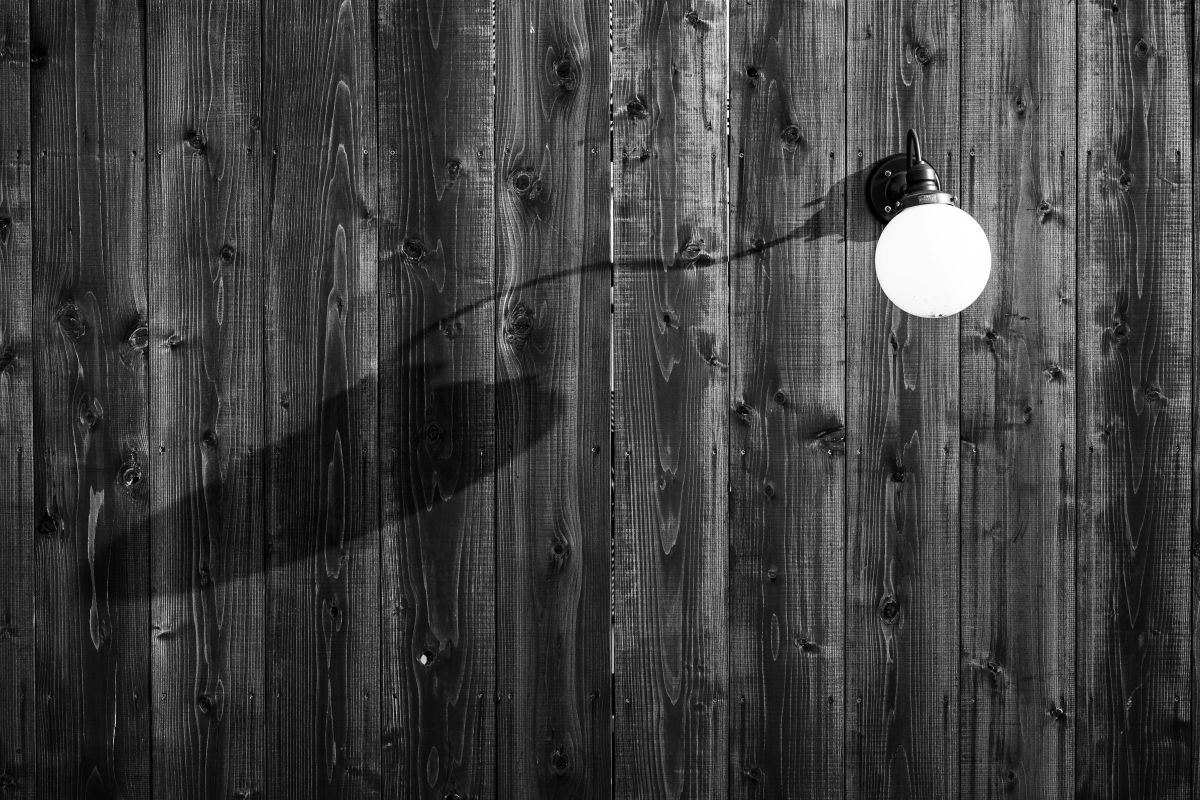 light and shadow | GANREF