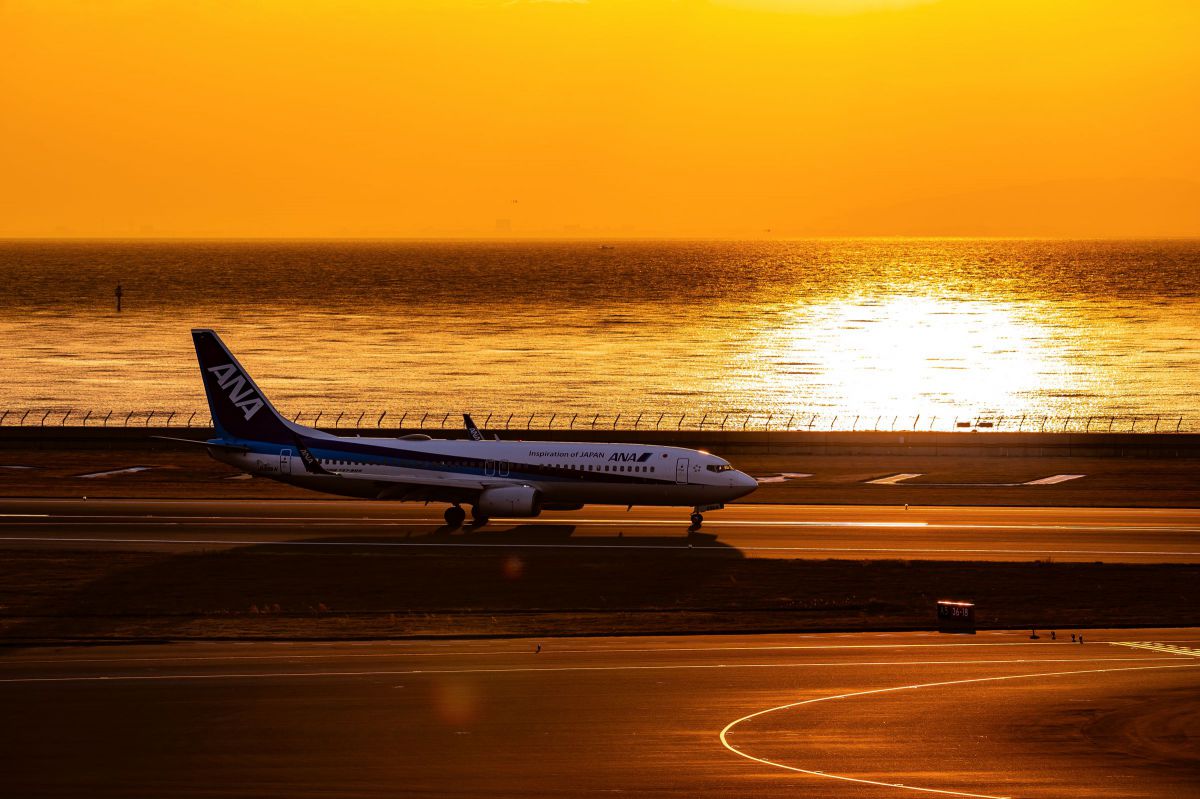 Nice Landing! | GANREF