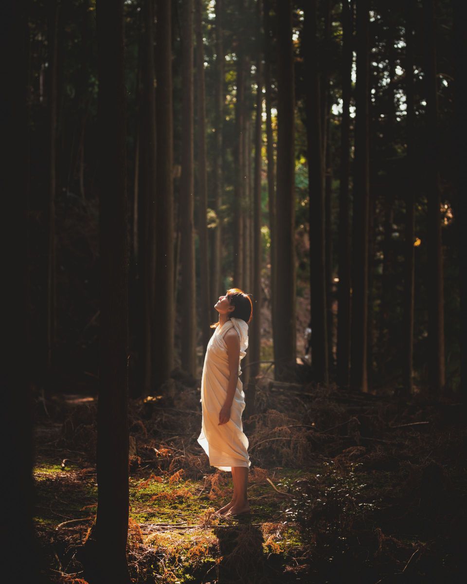 The light shines on you | GANREF