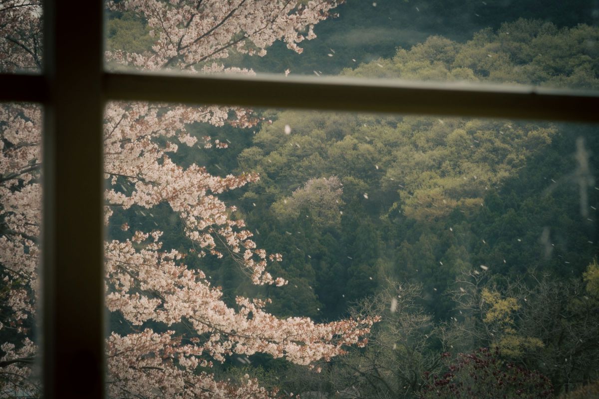 あの日の記憶 | GANREF