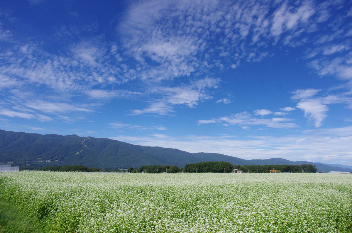 富士見町「入笠山」麓から | GANREF
