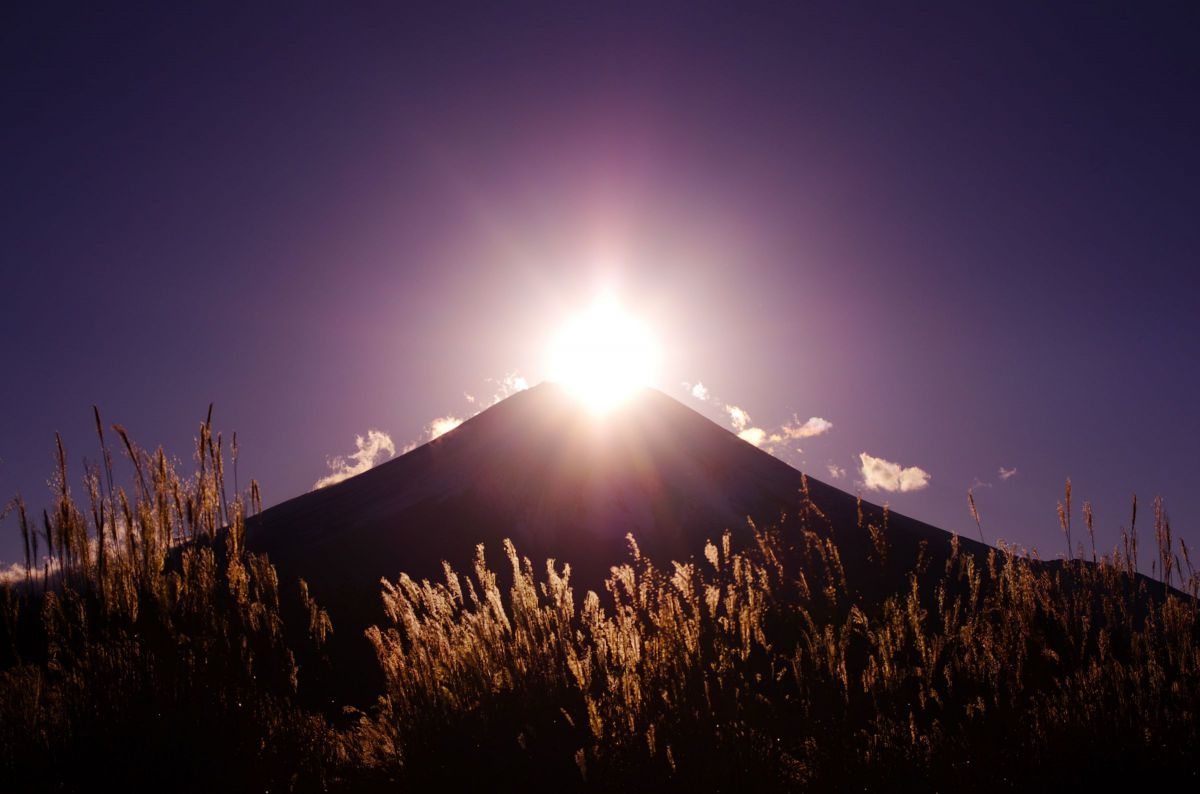 ダイヤモンド富士（ハリモミ純林） | GANREF