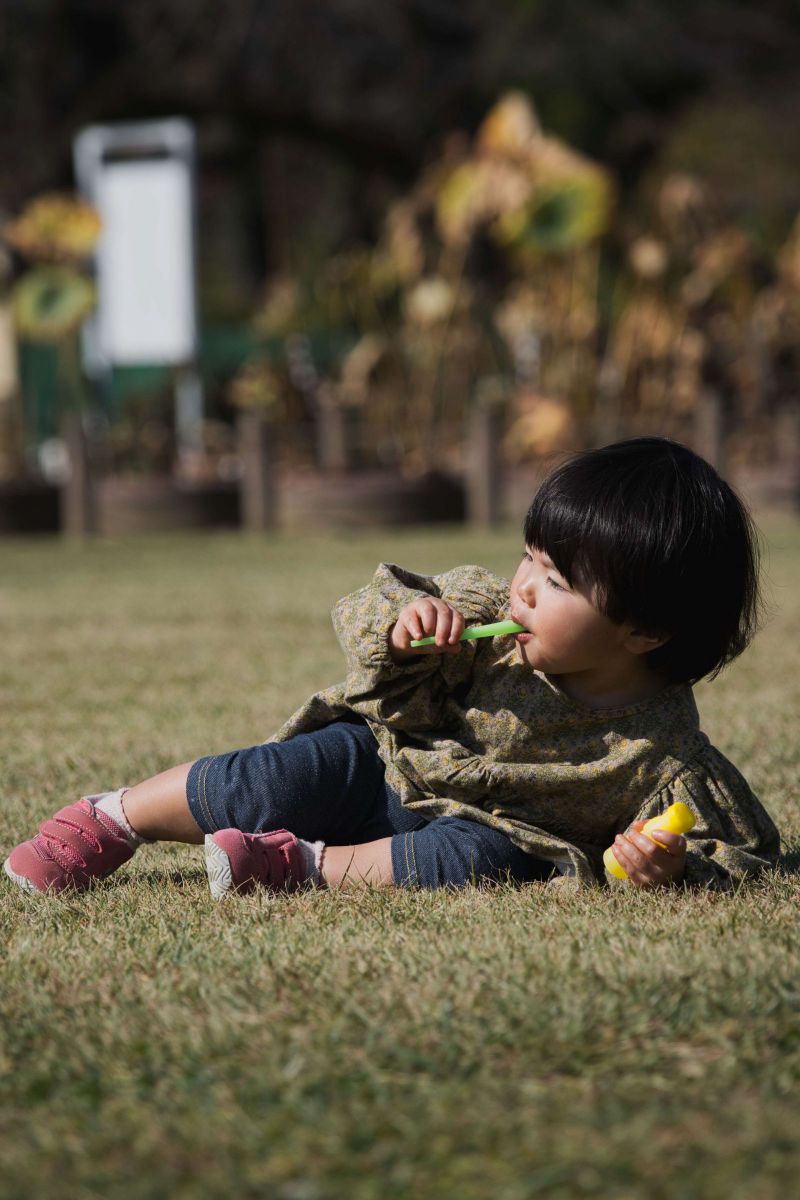 やめられないとまらない | GANREF