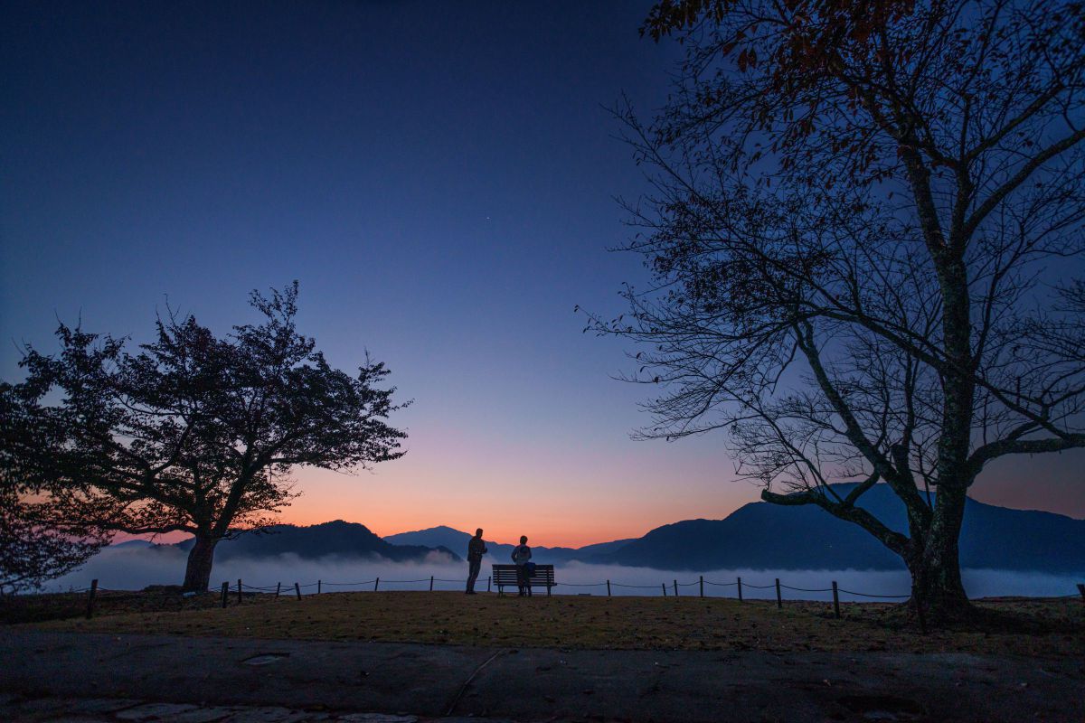 ソラ見るベンチ -2023秋- | GANREF