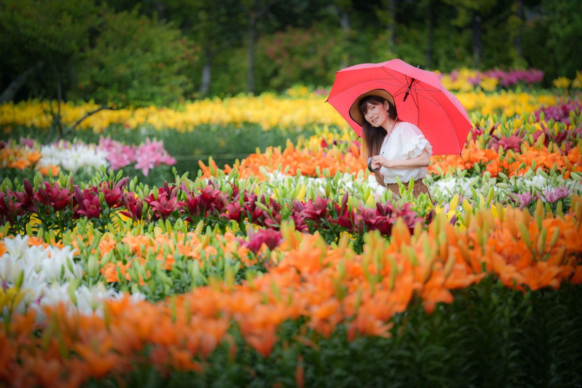 ame mo tanoshi | GANREF