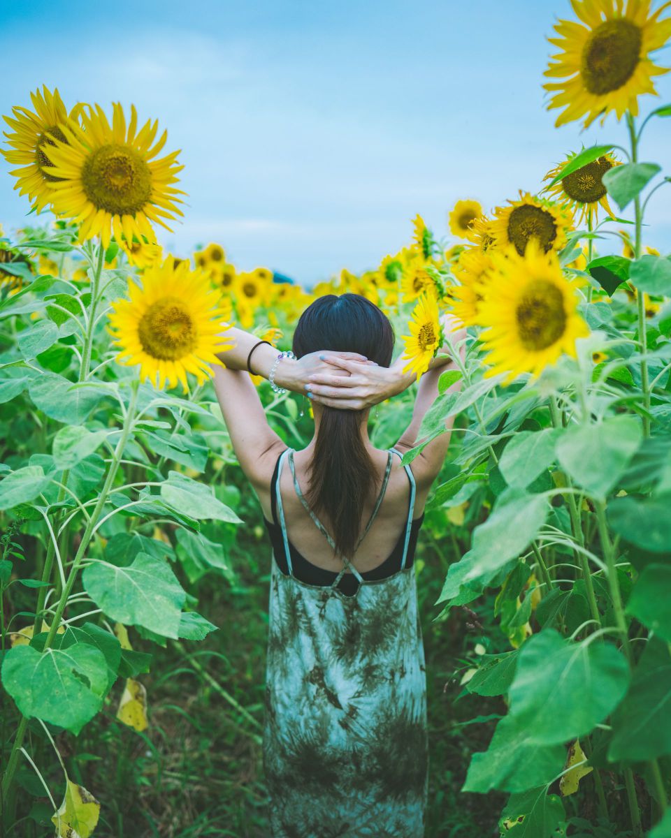 夏女 Ms.M | GANREF