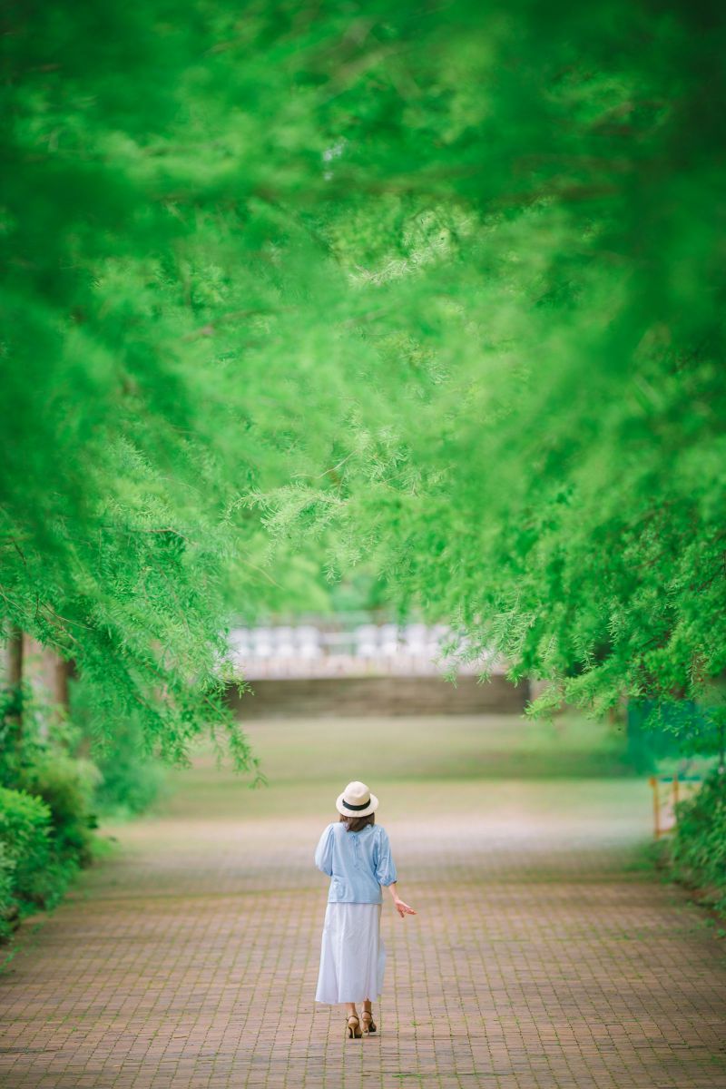 shinryoku no kisetsu | GANREF