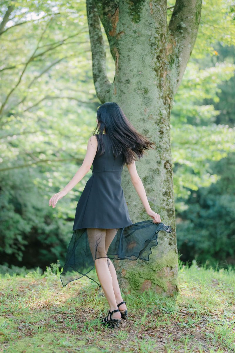 Shall we dance ? | GANREF