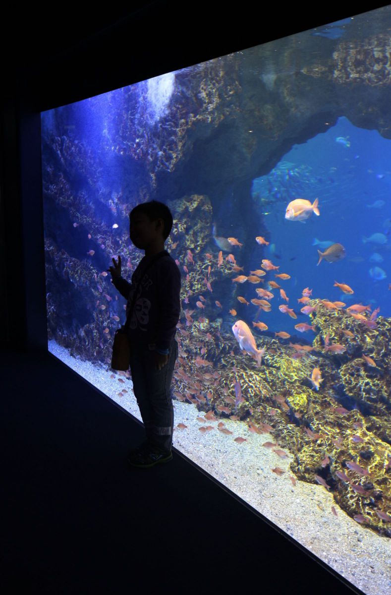 Vサイン（記念撮影） | GANREF