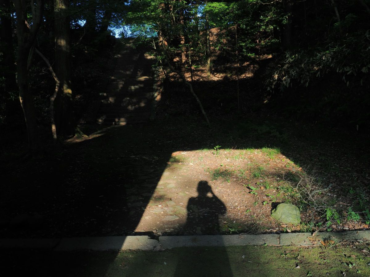 10,000,000 ポイントありがとう！！！ | GANREF