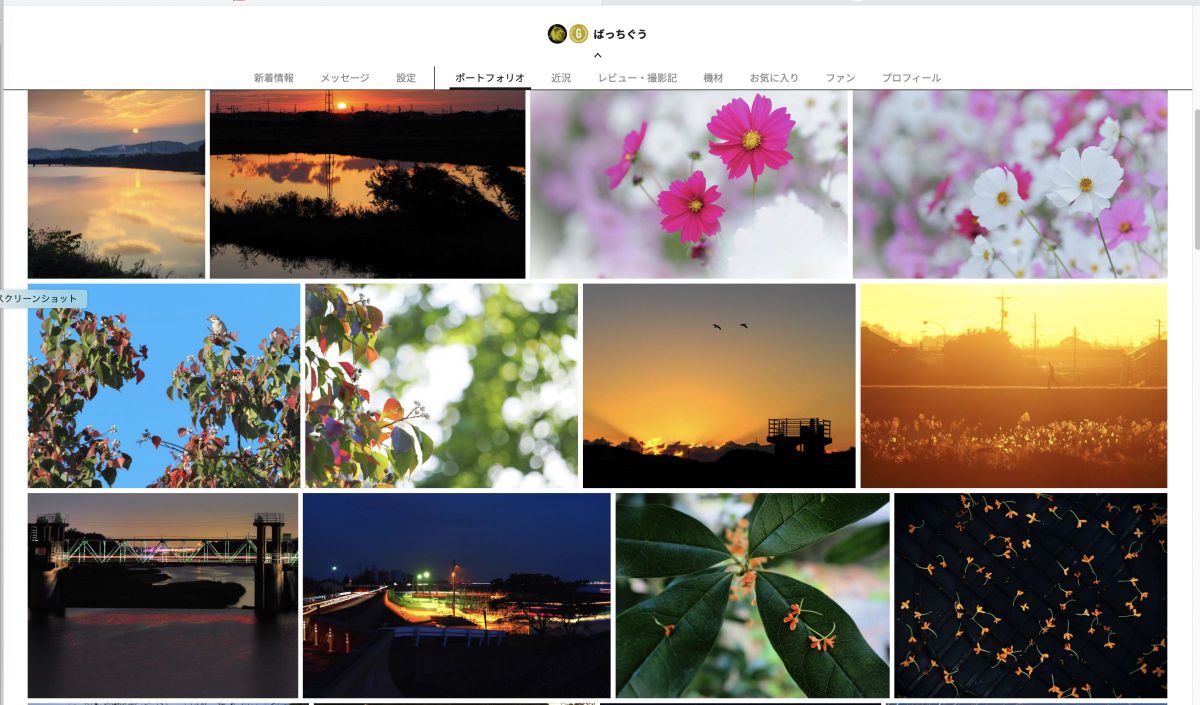 私の投稿スタイル（撮影記・レビュー300作記念） | GANREF