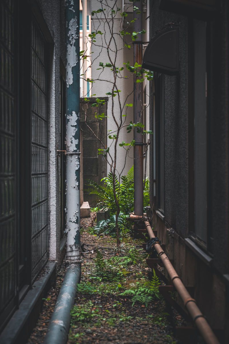 狭間の生命 | GANREF