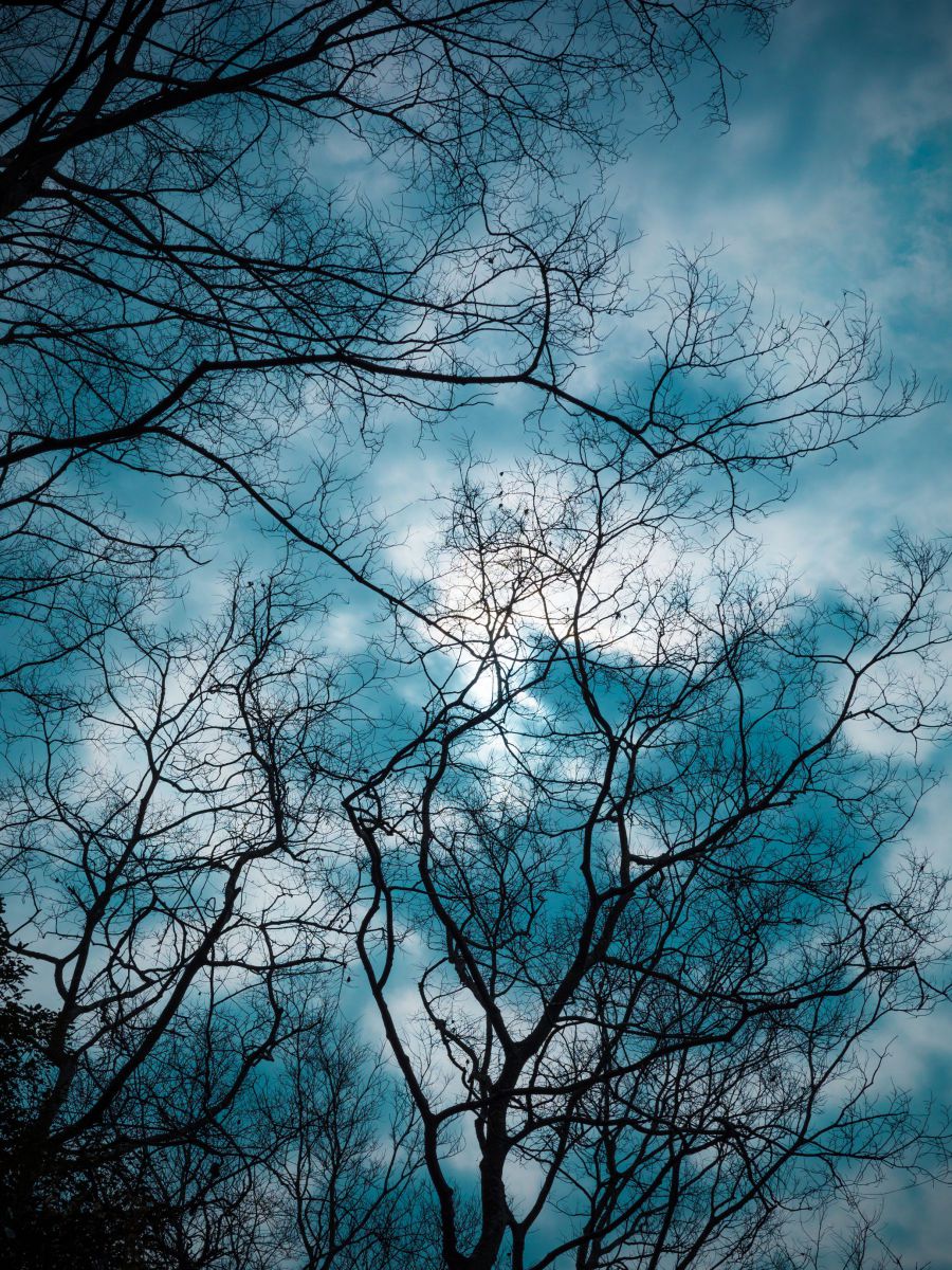 fragments 04 | GANREF