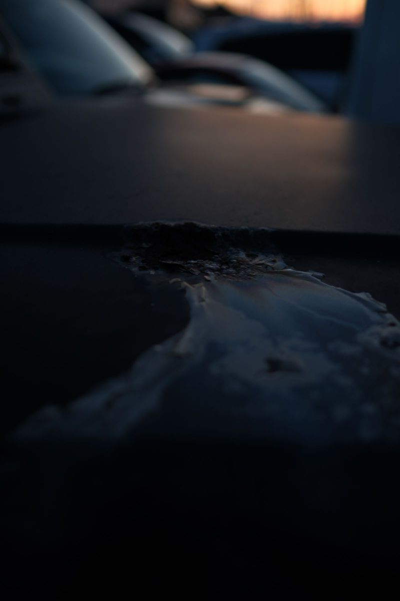 ボンネットに現れた波 | GANREF