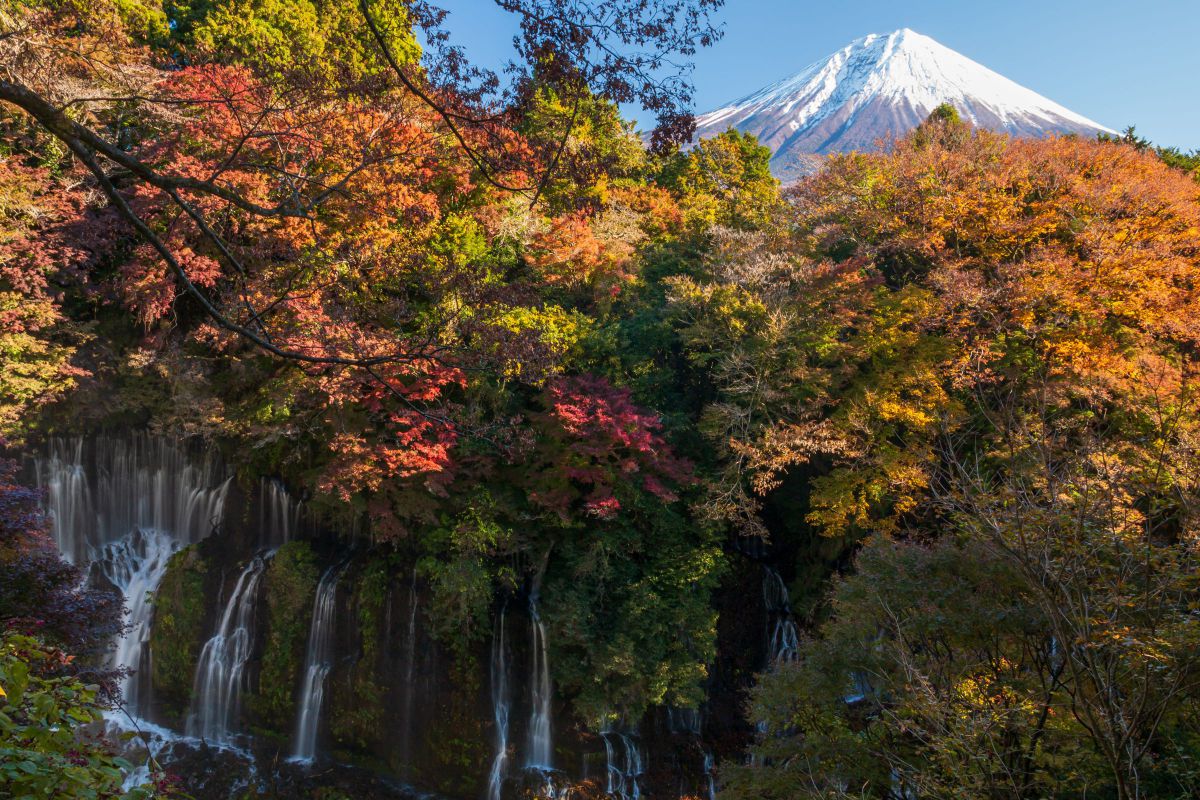 Trio in autumn | GANREF