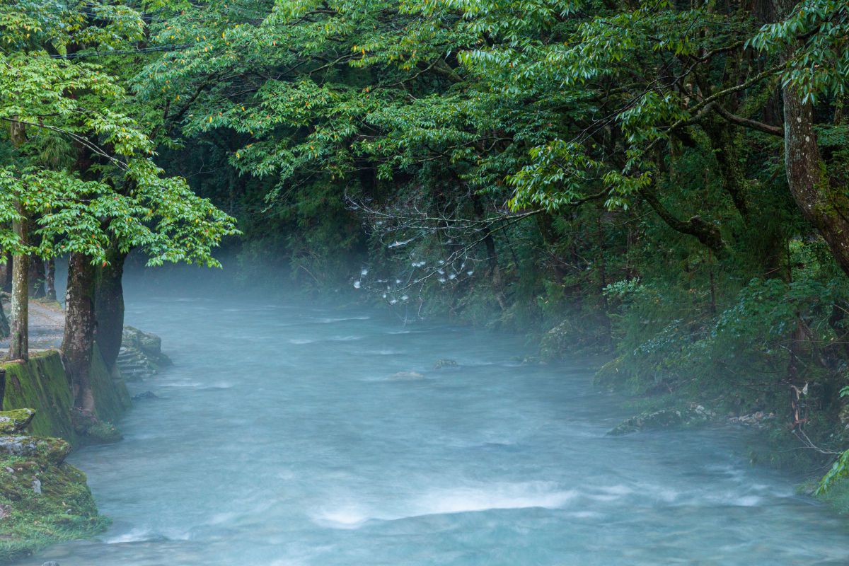 River mist | GANREF