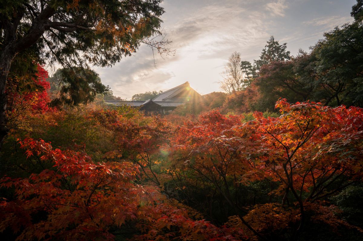 Morning Spotlight | GANREF