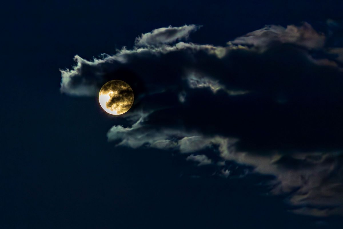 GODZILLA＆HUNTER'S MOON | GANREF