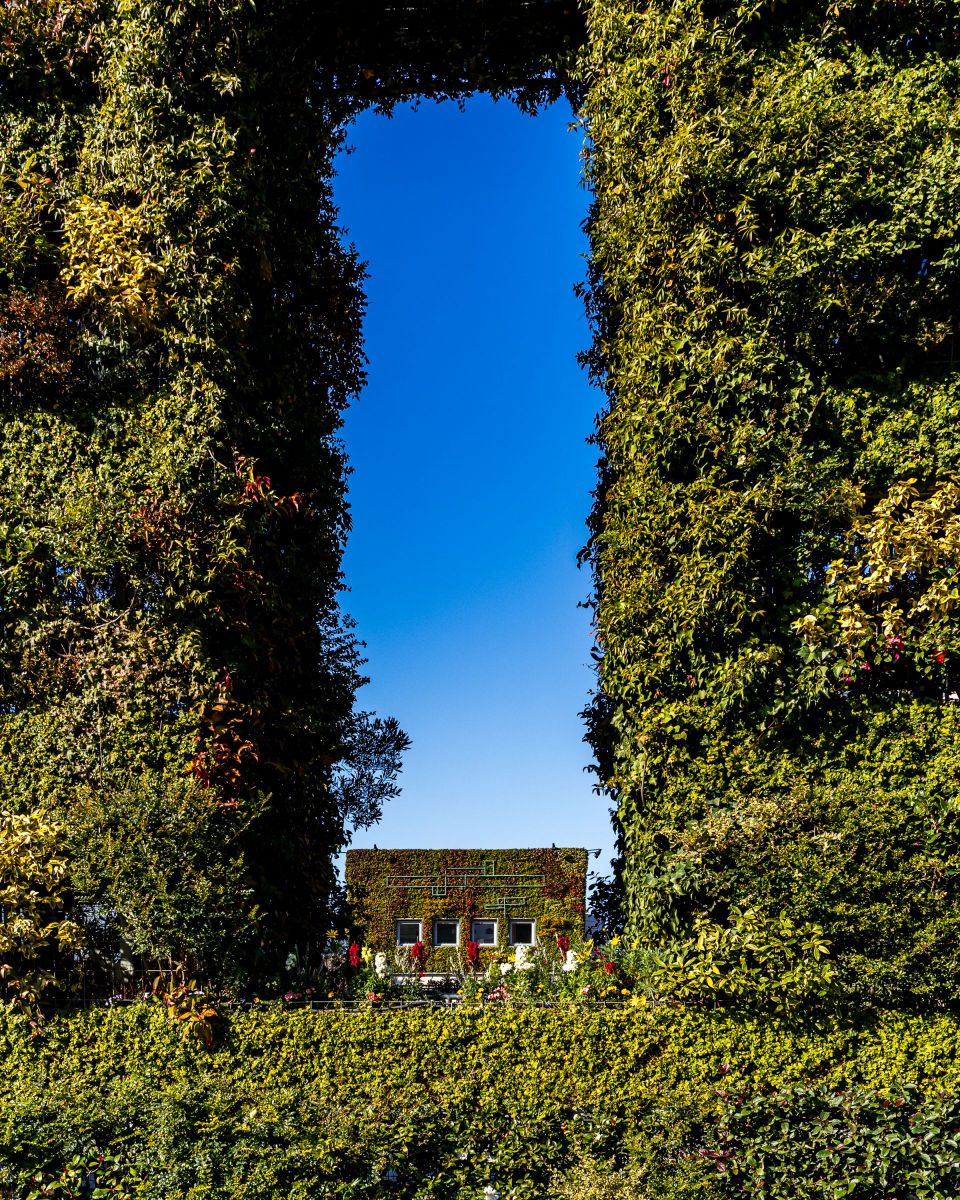 green green | GANREF