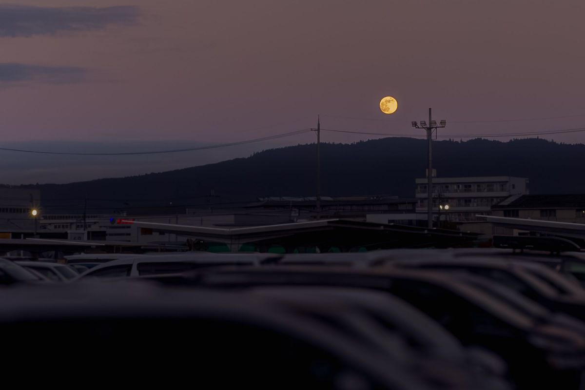 Cold Moon／寒月 | GANREF