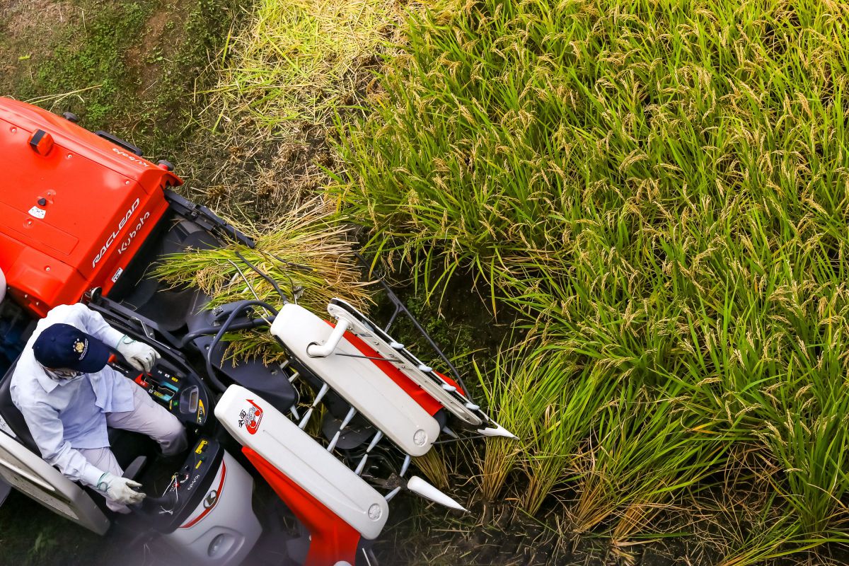 my machine Ⅱ | GANREF