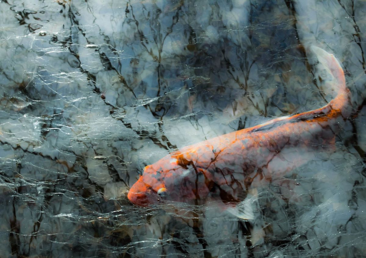 Another world | GANREF