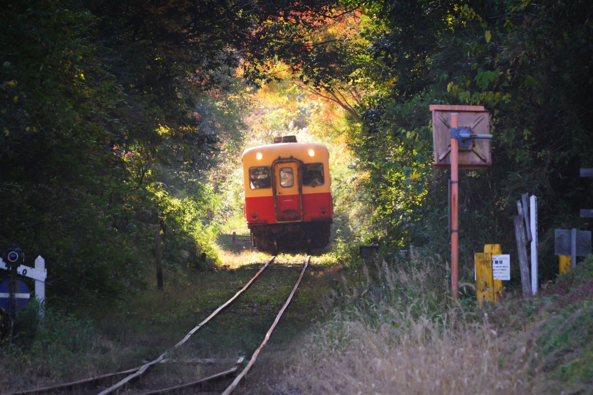 キハ物語（8） | GANREF