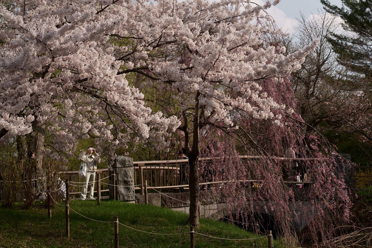 Give Life Back to Spring | GANREF