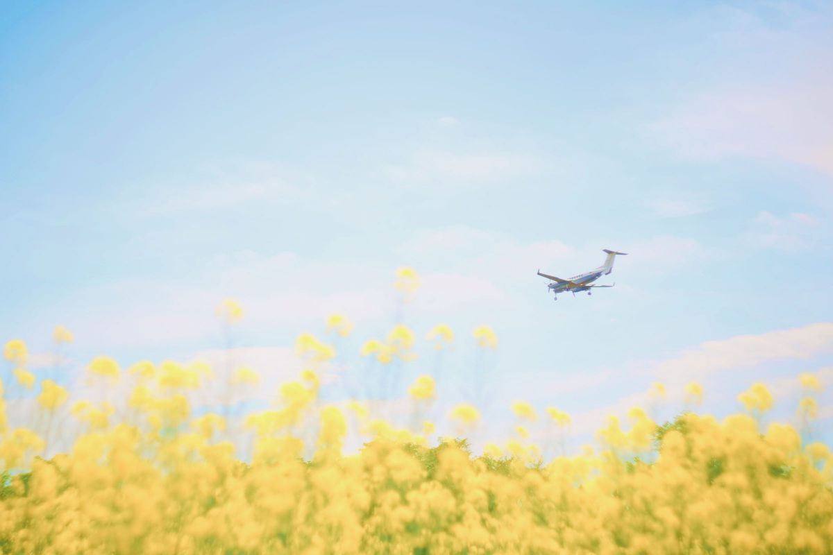 May landings | GANREF