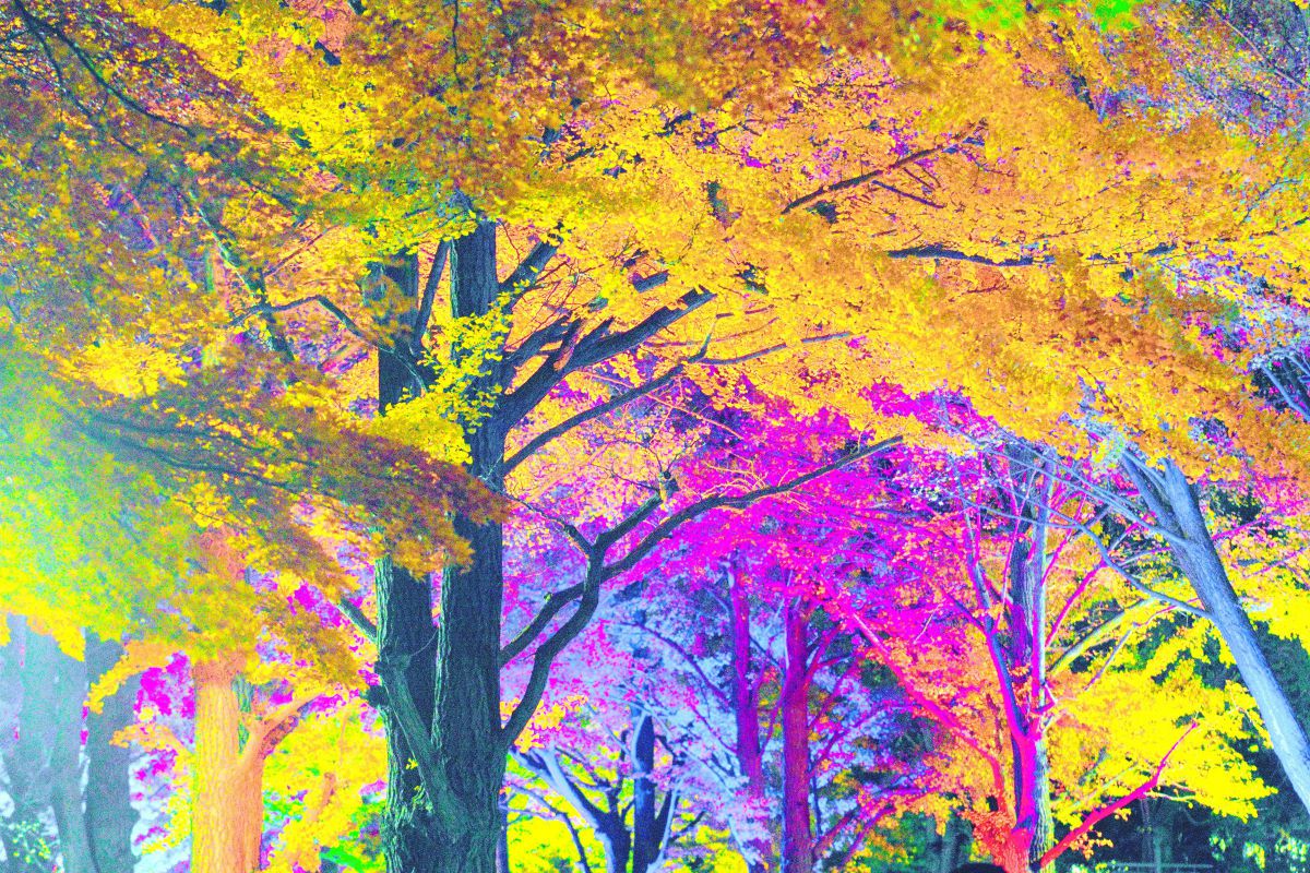 lost colors 3 | GANREF